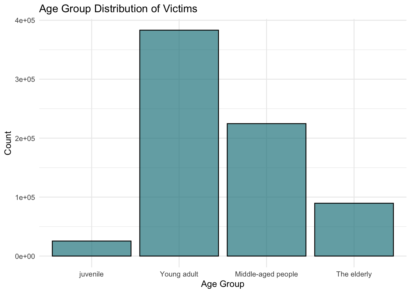 Victim Demographics